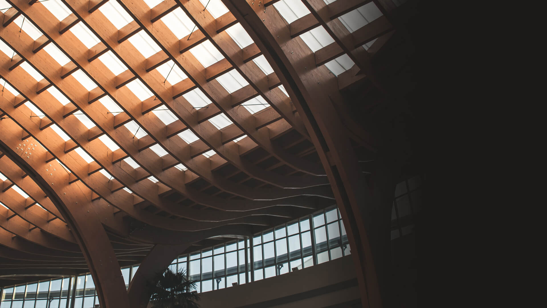 EasyBEAM | DDX Software Solutions